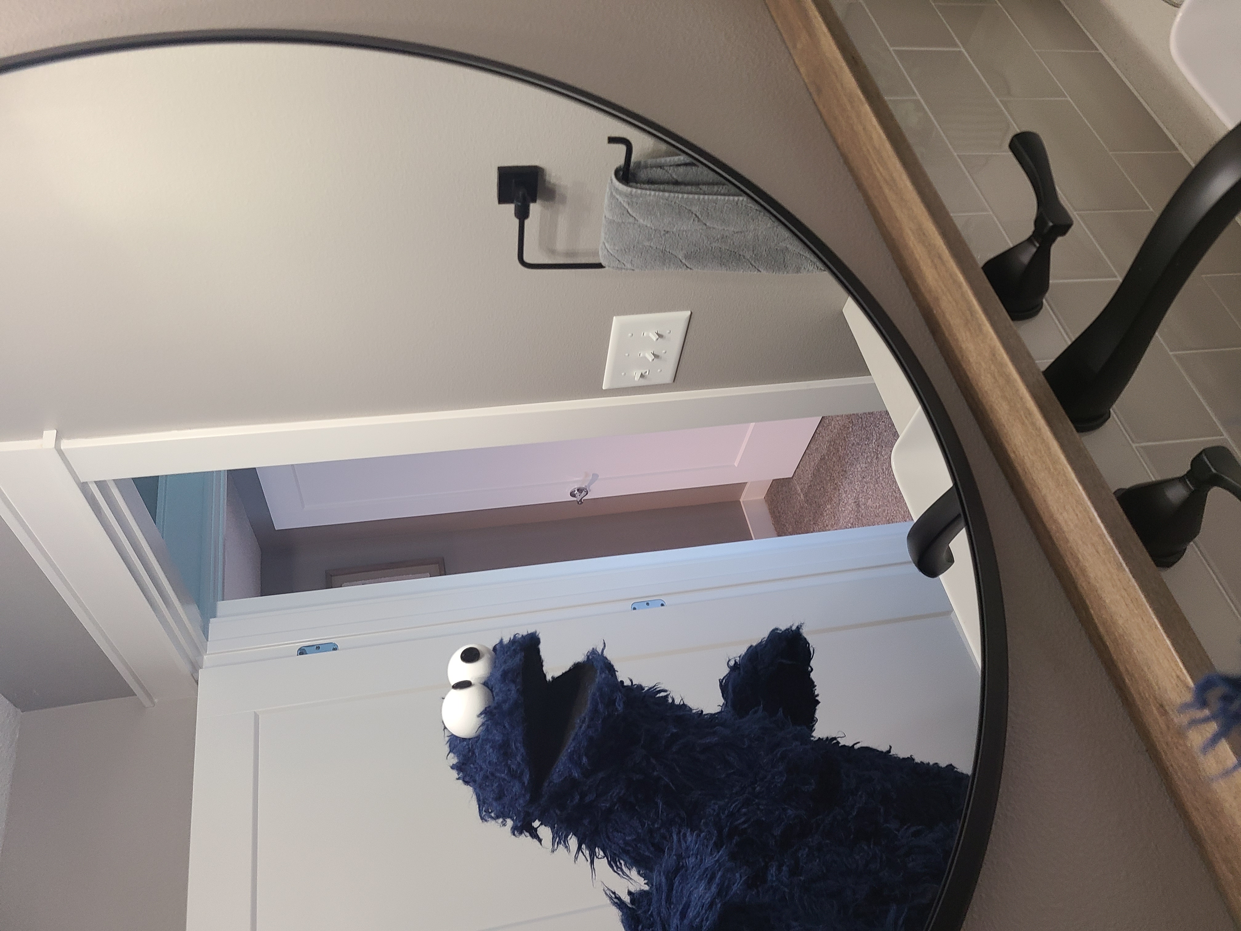 Cookie Monster Build | Muppet Central Forum